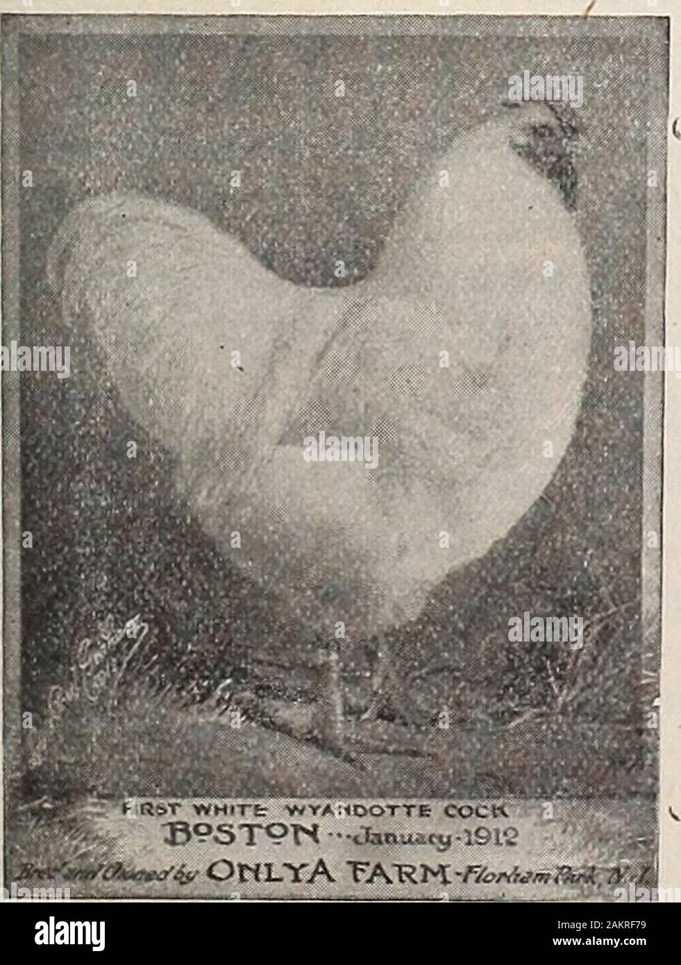 Air cus hi-res stock photography and images - Alamy