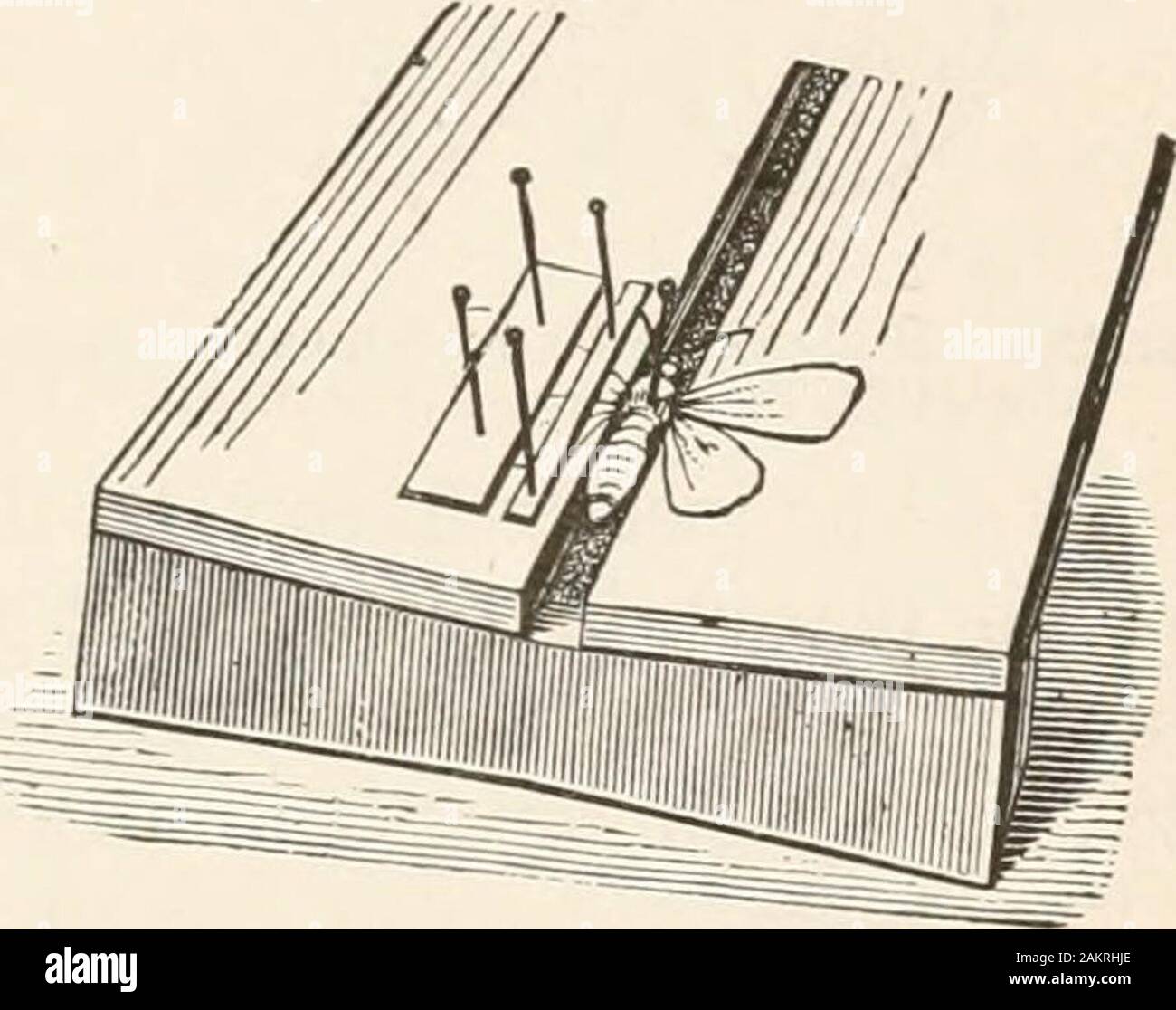 Parallel strips hi-res stock photography and images - Alamy