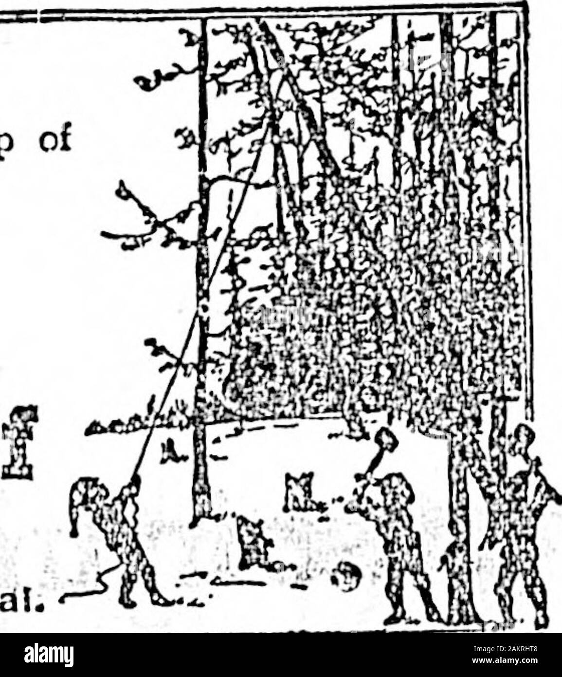 James f allen hi-res stock photography and images - Alamy