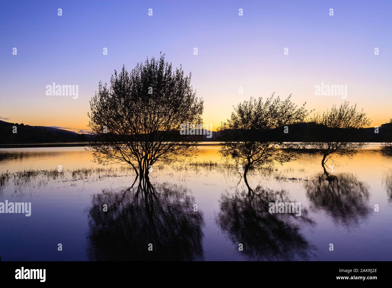 Sunset over Llyn Tegid Bala Lake Snowdonia National Park Gwynedd Wales ...