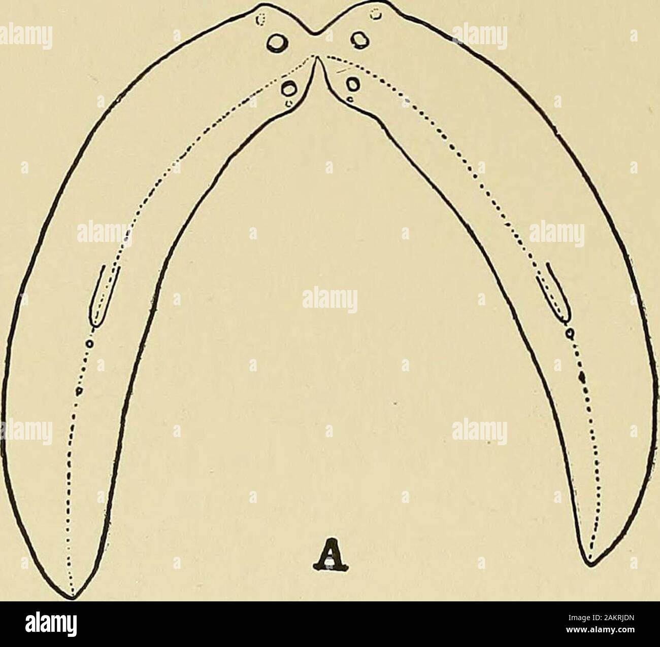 Mechanical separation hi-res stock photography and images - Alamy
