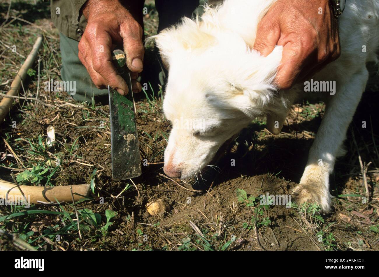 Val curone hi-res stock photography and images - Alamy