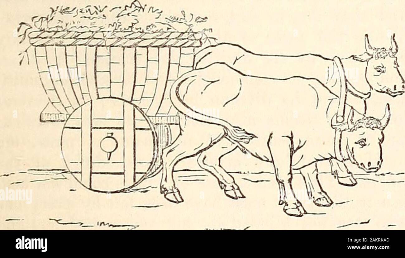 Statuaria hi-res stock photography and images - Alamy