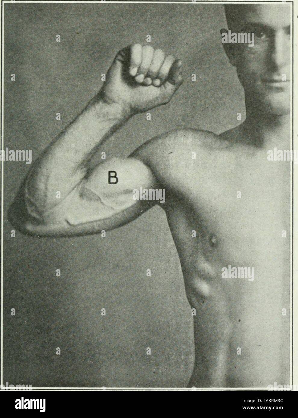 Applied anatomy and kinesiology; the mechanism of muscular movement ...