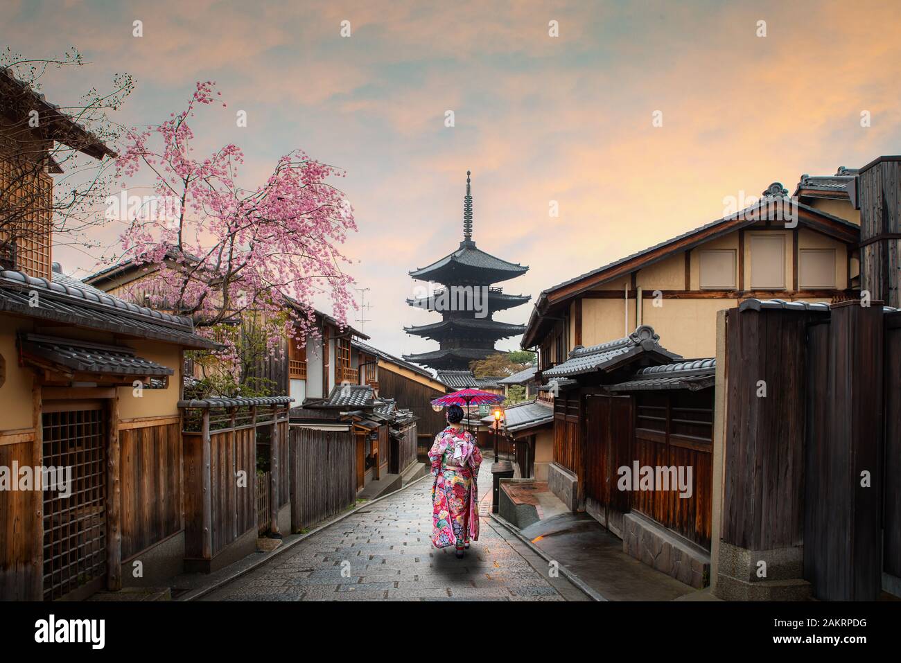 Japan cherry blossom kimono hi-res stock photography and images - Alamy