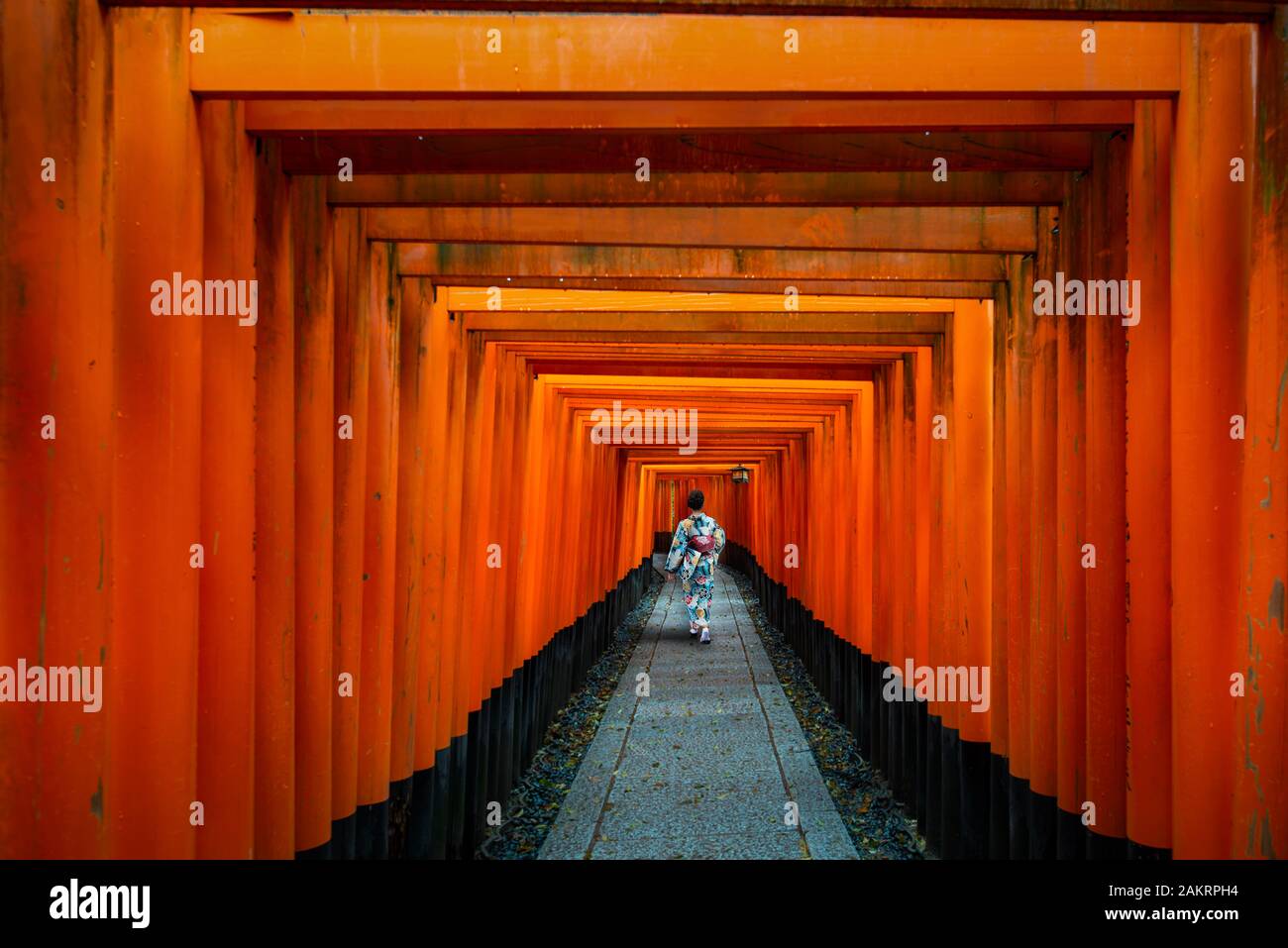 Geishas walking and sightseeing among red wooden Tori Gate at Fushimi ...