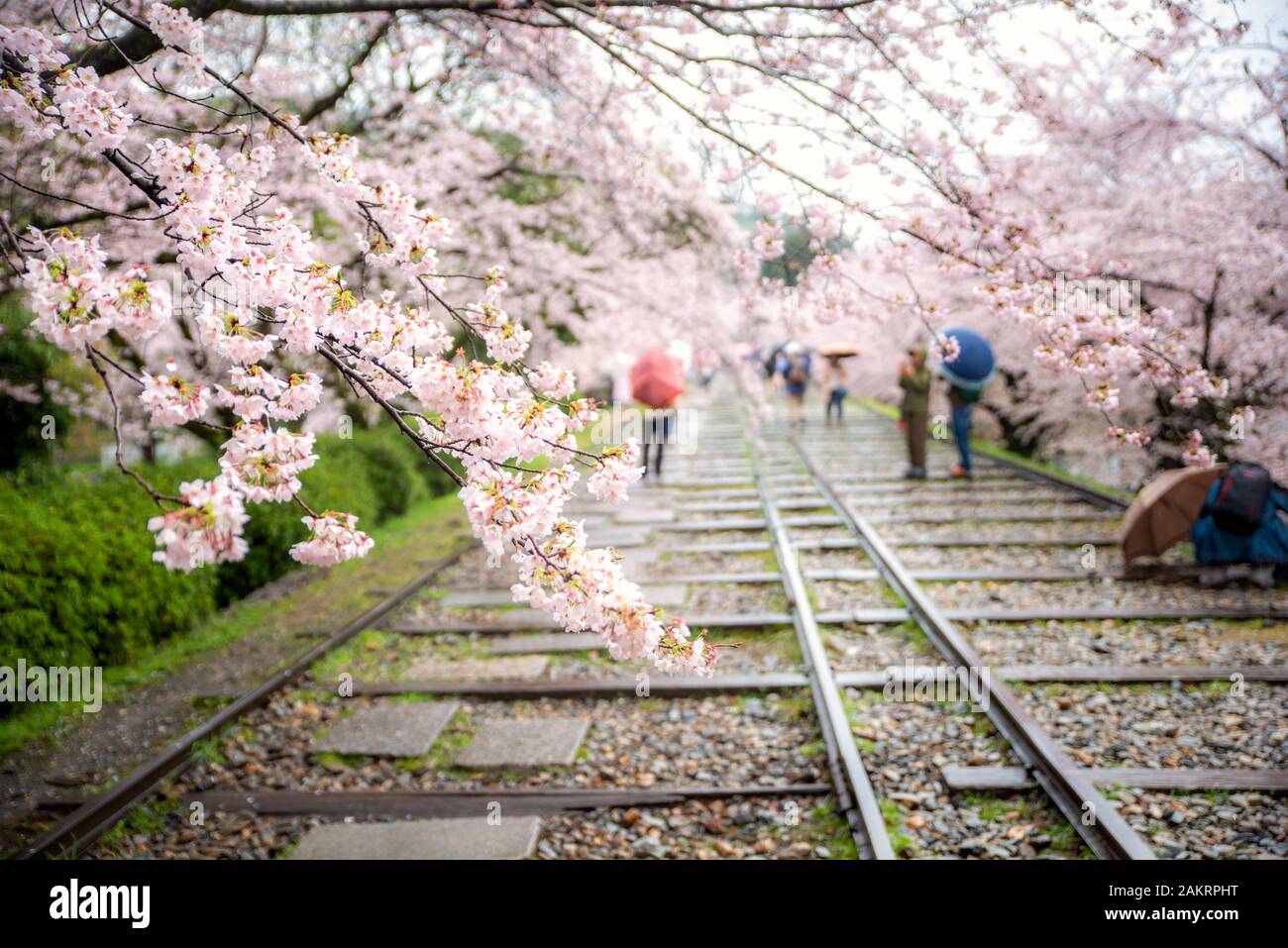 People enjoy beautiful spring hi-res stock photography and images - Alamy
