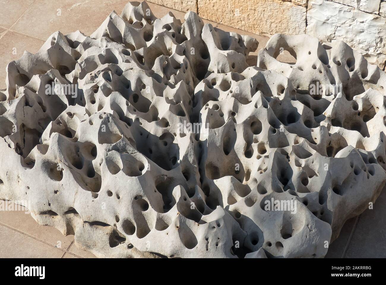 Piddocks hi-res stock photography and images - Alamy
