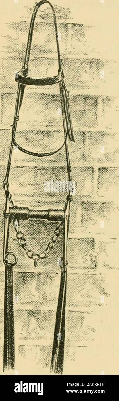 Pelham bit hi-res stock photography and images - Alamy