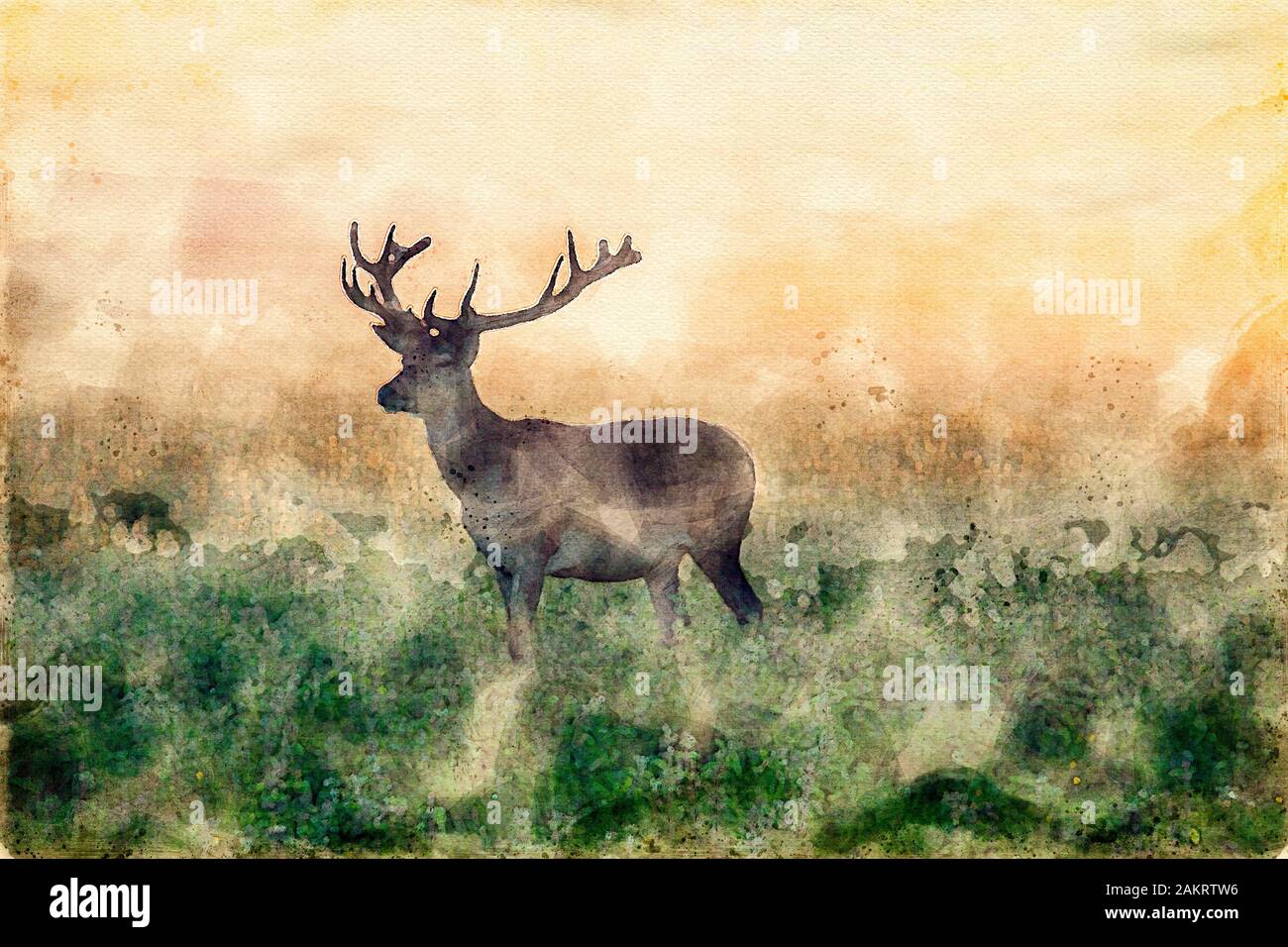 White stag painting hi-res stock photography and images - Alamy