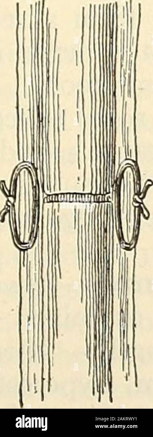 Modern surgery, general and operative Stock Photo - Alamy