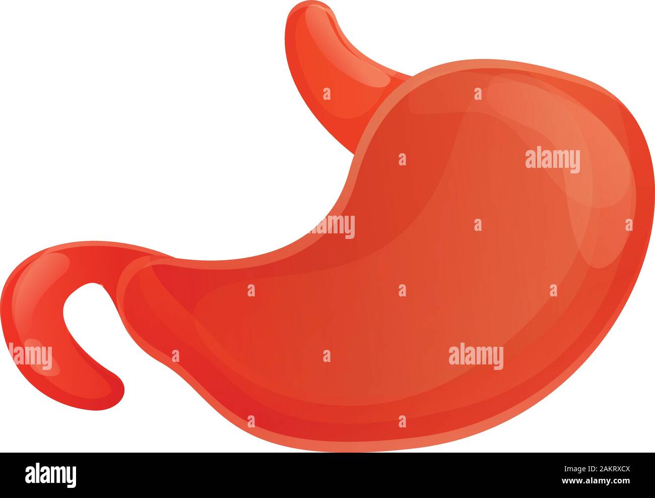 Healthy stomach icon. Cartoon of healthy stomach vector icon for web ...