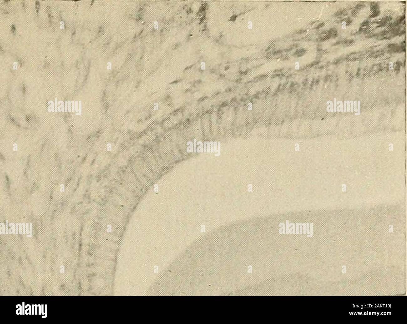 Mentum High Resolution Stock Photography and Images - Alamy