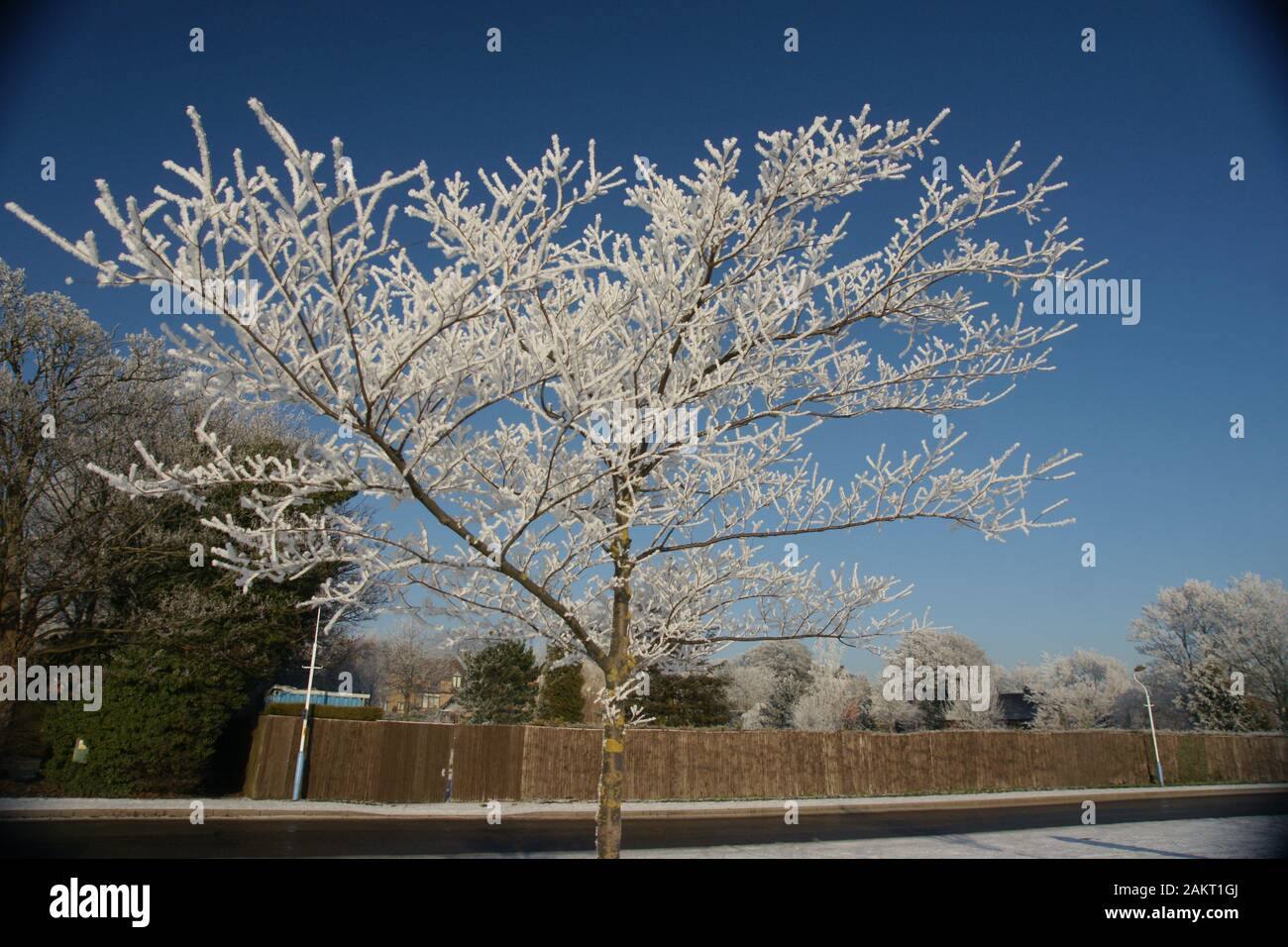 Sub zero snow hi-res stock photography and images - Alamy