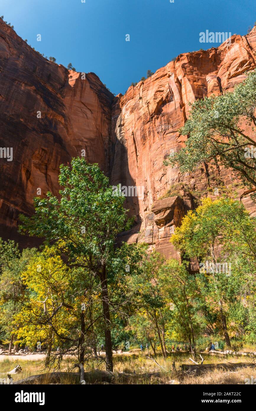 High plateaus, mazes of narrow, deep sandstone canyons and impressive ...