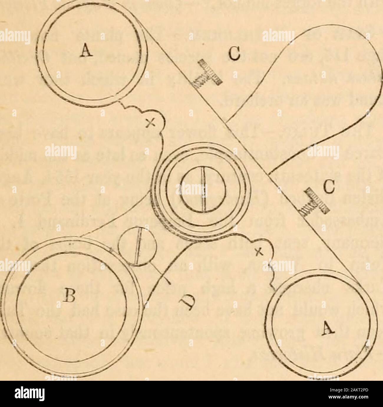 Cyclosis hi-res stock photography and images - Alamy