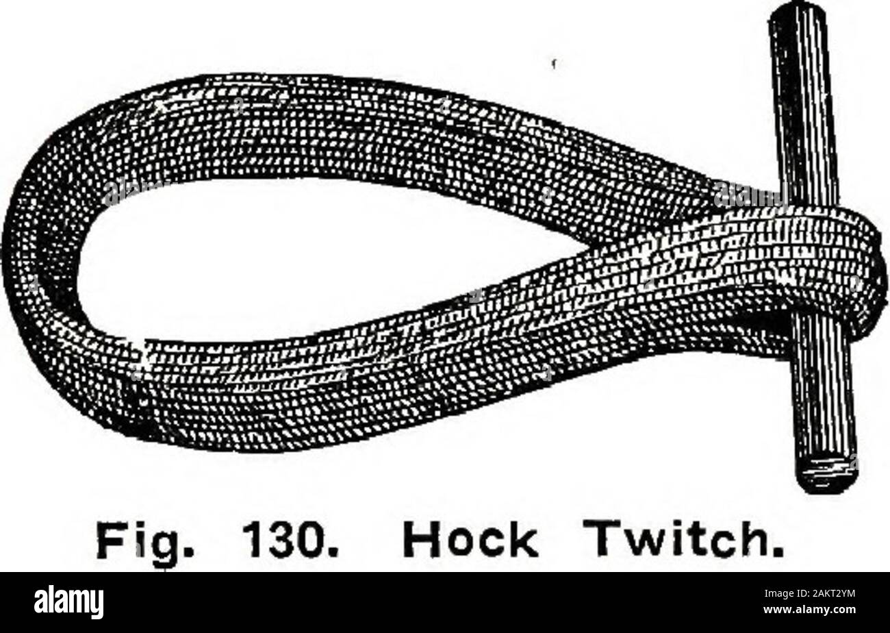 Restraint of domestic animals; a book for the use of students and ...