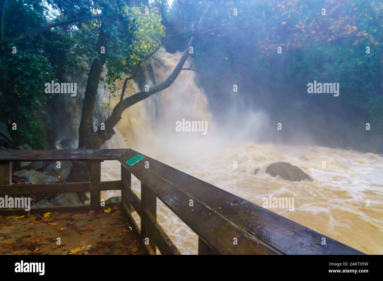 View of strong winter waterflow in the Banias waterfall. Part of the ...