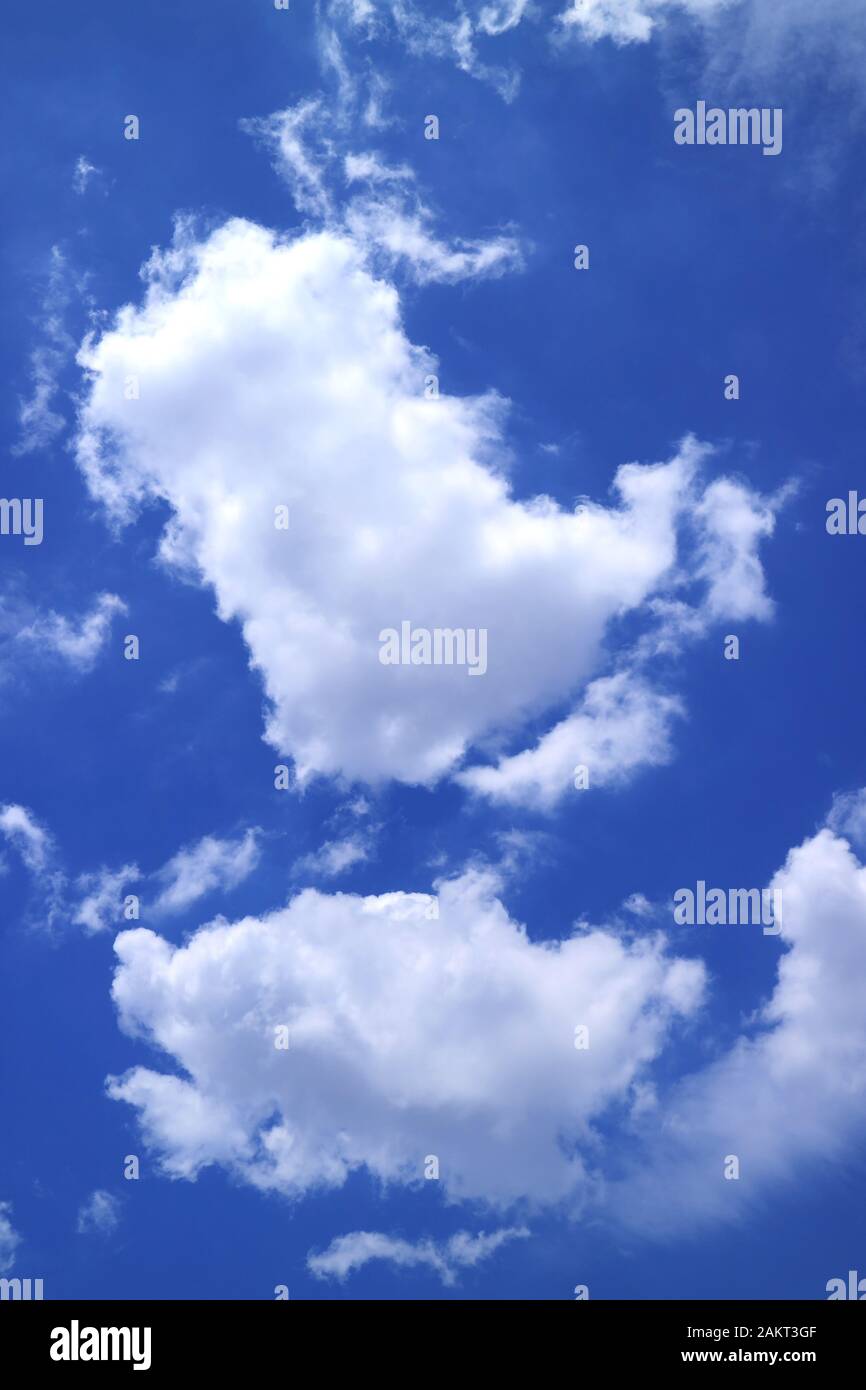 Vertical image of pure white cumulus clouds floating on vibrant blue ...