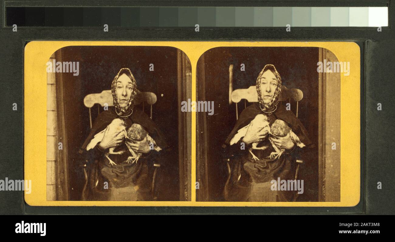 Nancy luce hi-res stock photography and images - Alamy