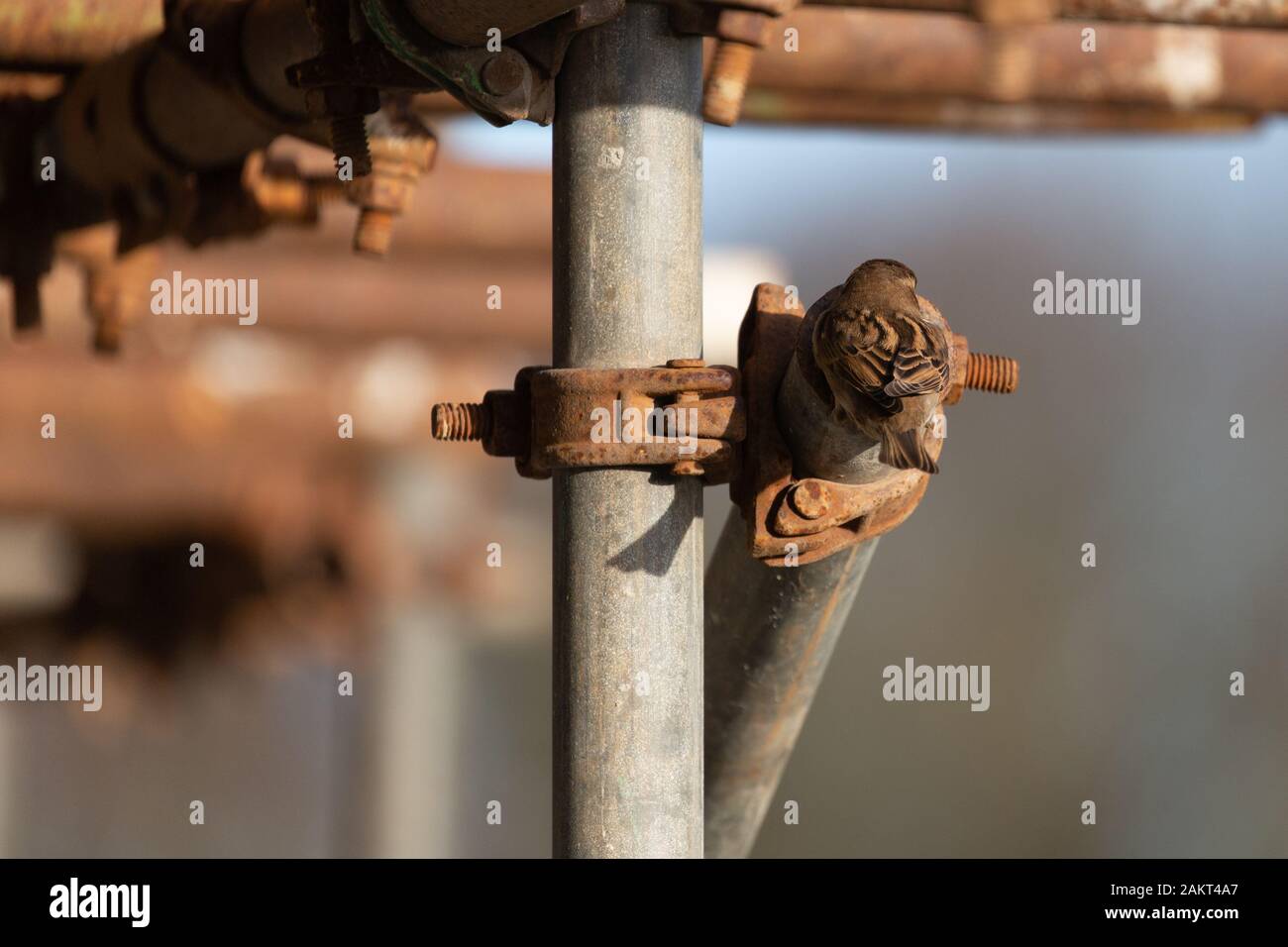 Scaffolding holes hi-res stock photography and images - Alamy