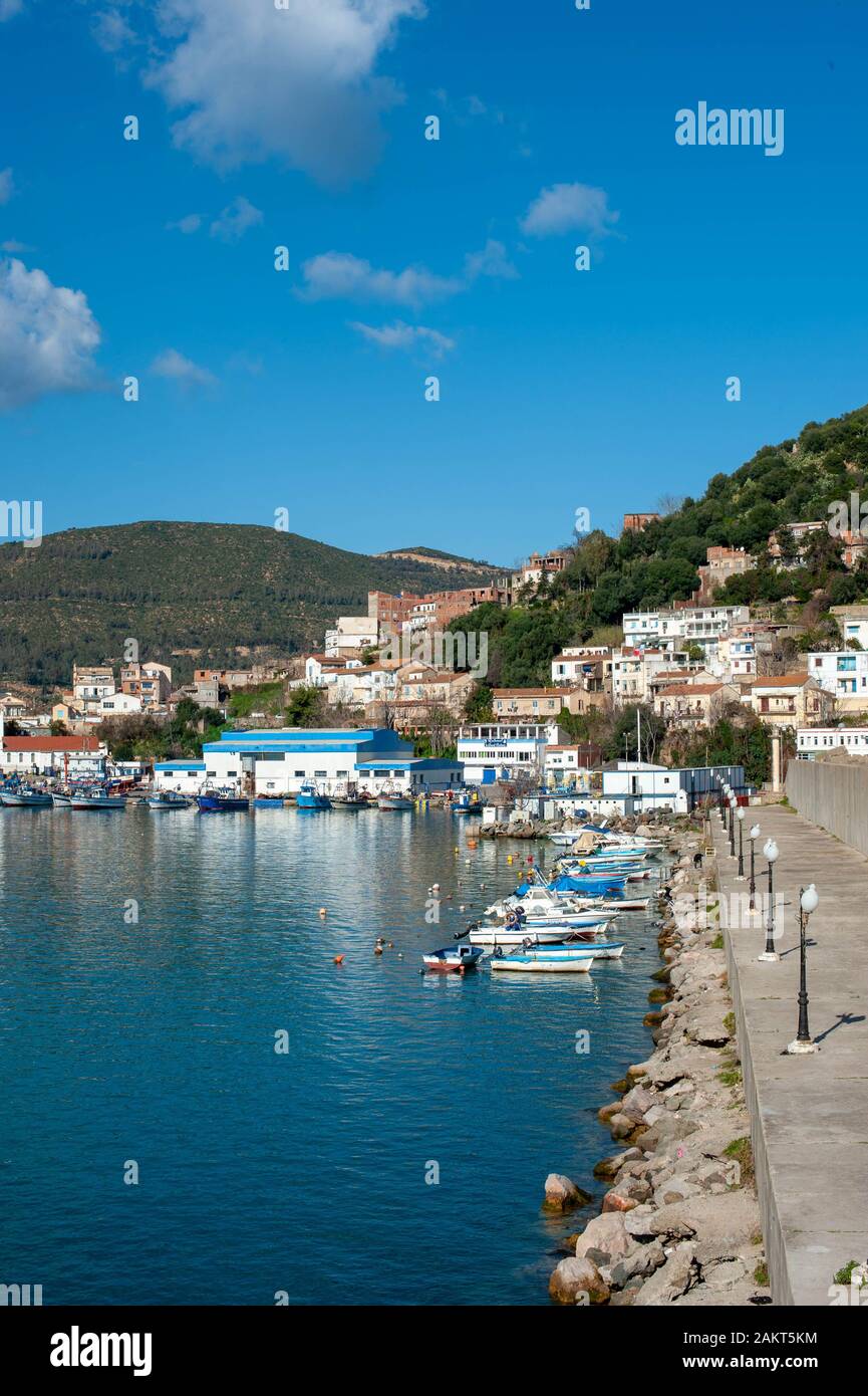 Collo hi-res stock photography and images - Alamy