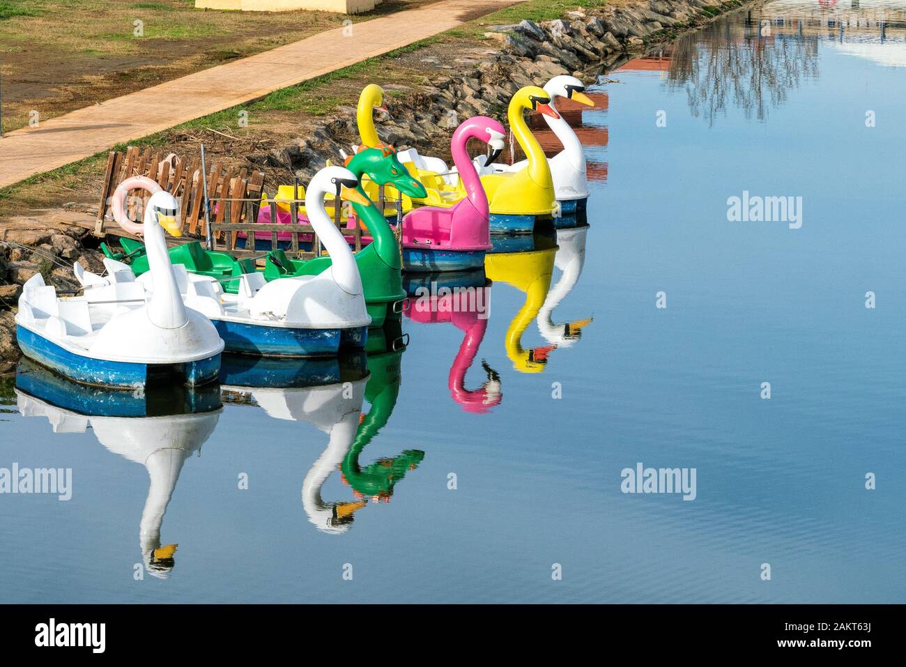 A swan pedal boat is a charming, swan-shaped watercraft designed for ...