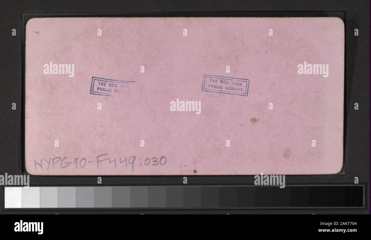 Presbyterian Church Includes 10 hand-colored views. Includes views by ...