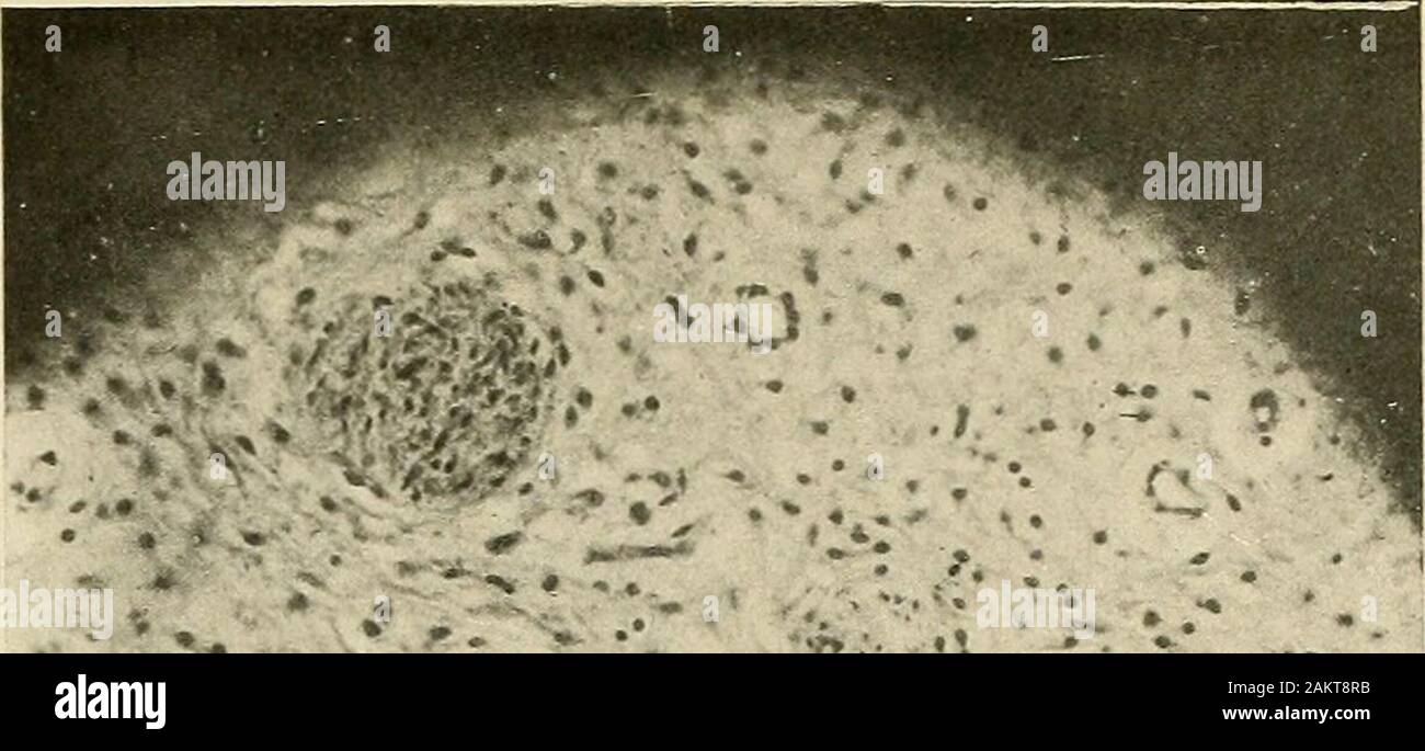 Columnar epithelial cells hi-res stock photography and images - Alamy