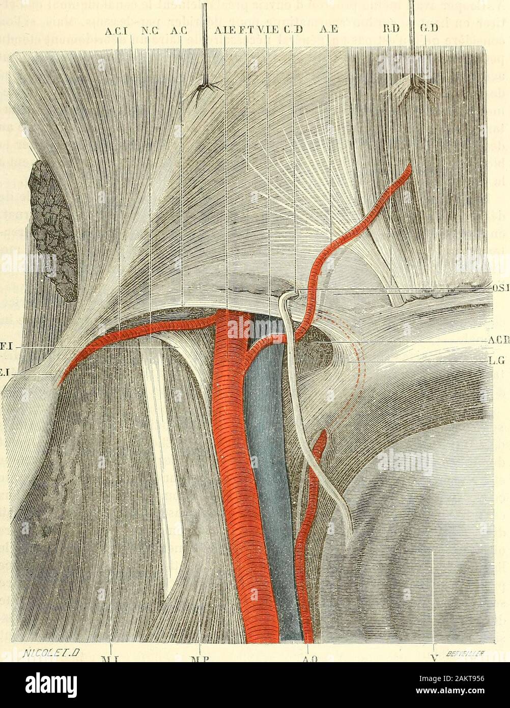 Arcade inférieure hi-res stock photography and images - Alamy