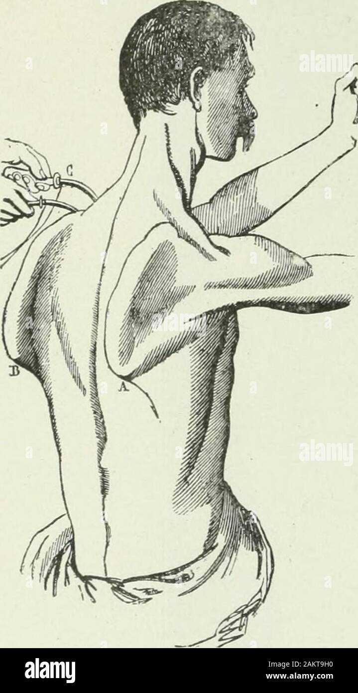 Movements of shoulder joint hi-res stock photography and images - Alamy