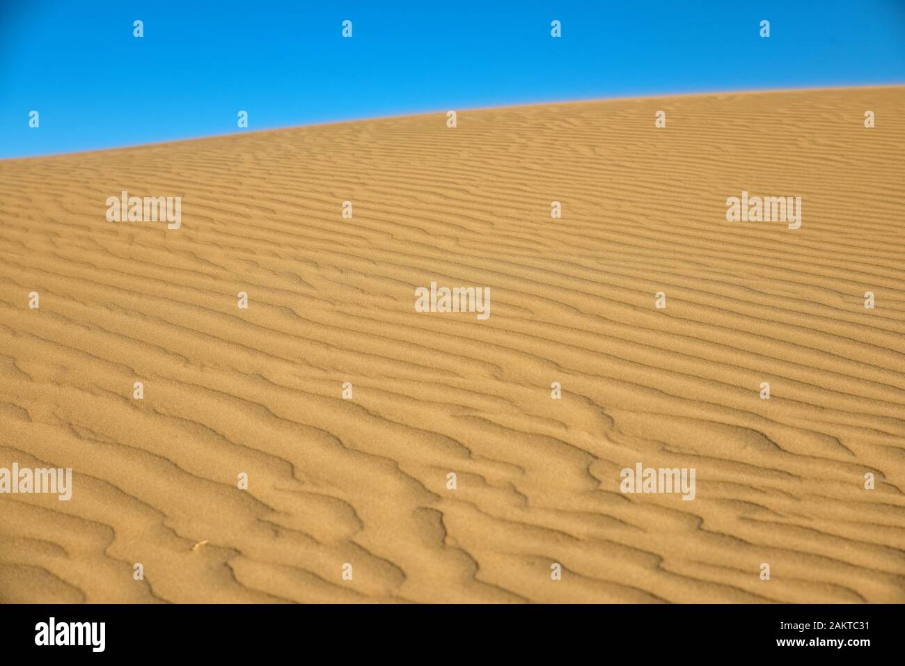 sand Sahara desert in Morocco near Mhamid Stock Photo - Alamy