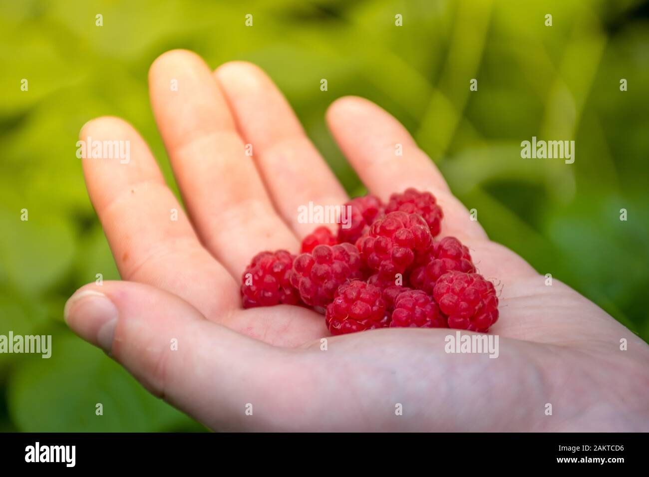 Giving the raspberry hi-res stock photography and images - Alamy