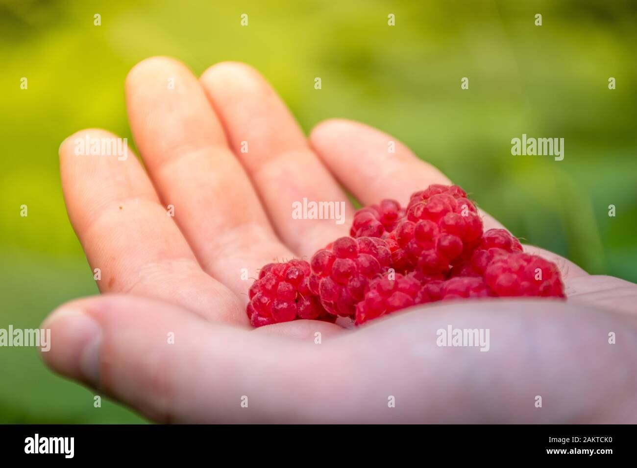 Giving the raspberry hi-res stock photography and images - Alamy