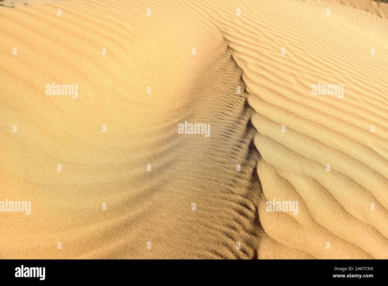 sand Sahara desert in Morocco near Mhamid Stock Photo - Alamy