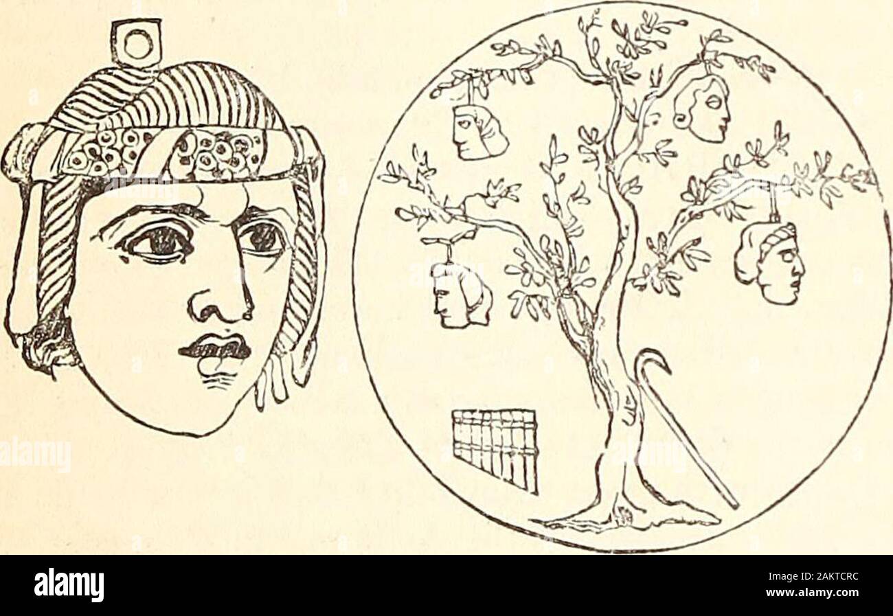 Oscillum hi-res stock photography and images - Alamy