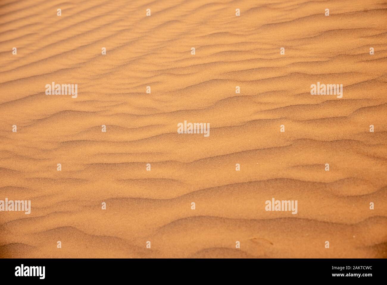 sand Sahara desert in Morocco near Mhamid Stock Photo - Alamy