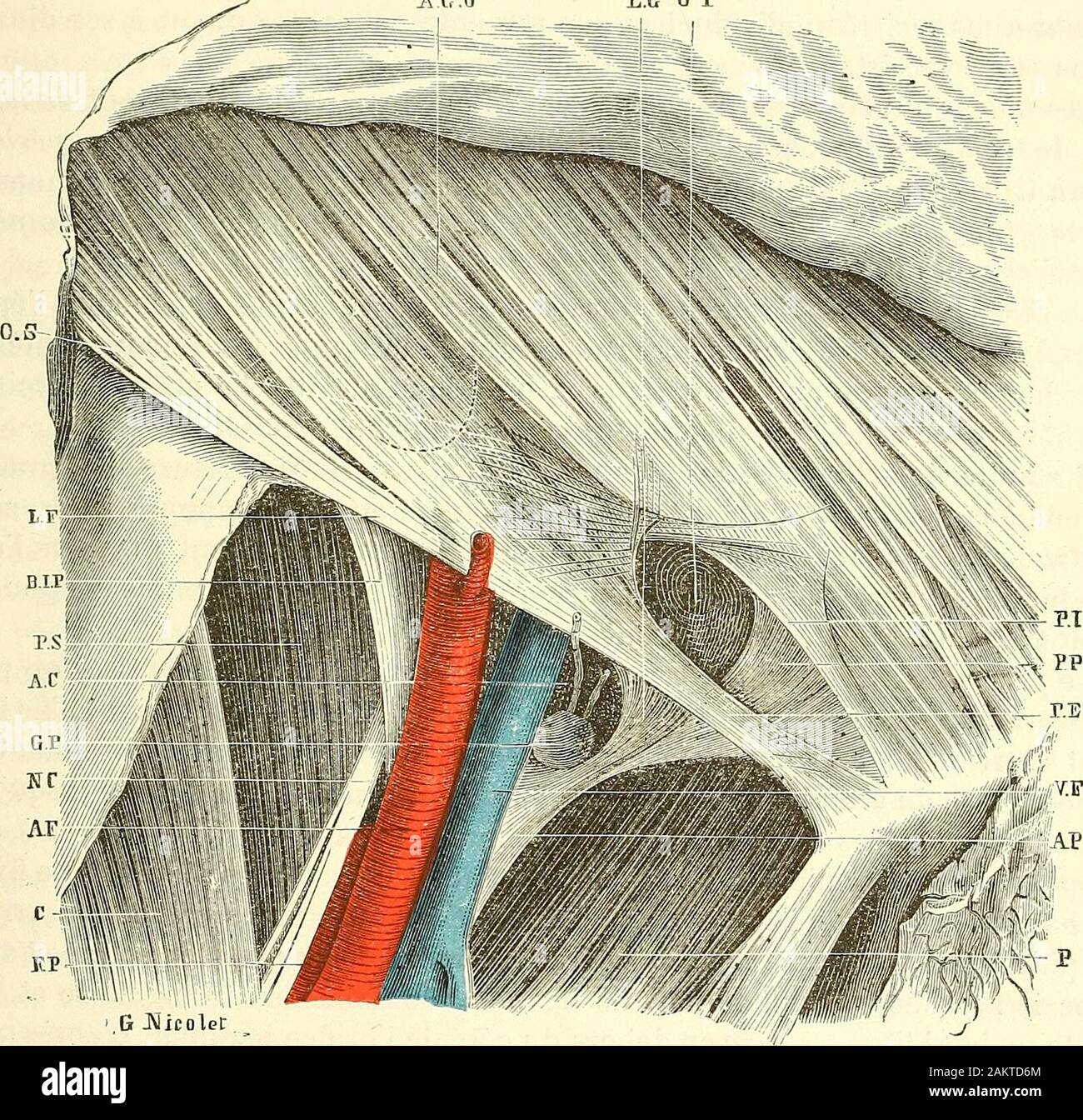 Linea de canal hi-res stock photography and images - Alamy