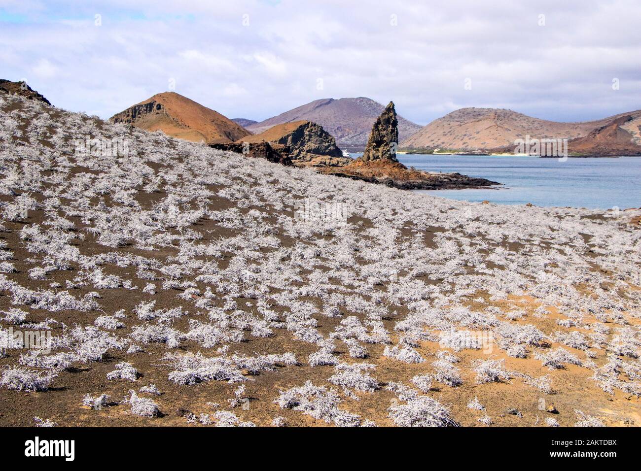 The arid landscape of Bartolome Island, Galapagos Stock Photo - Alamy
