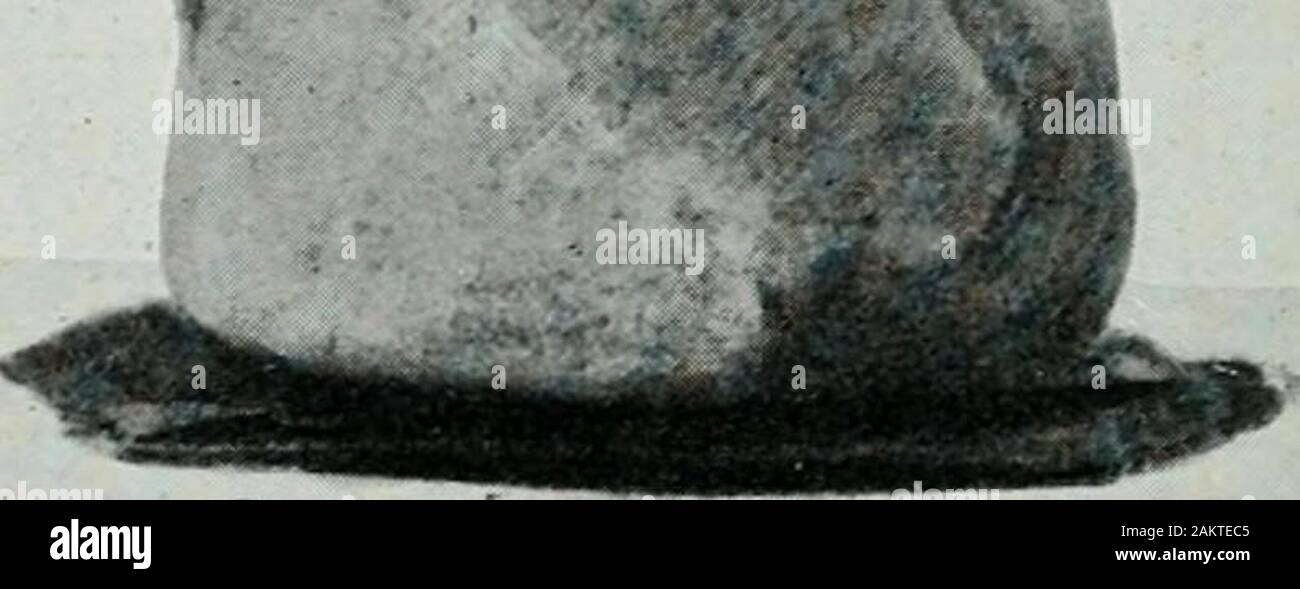 The palaces of Crete and their builders . FIG. 131.—FEMALE IDOL FOUND ...