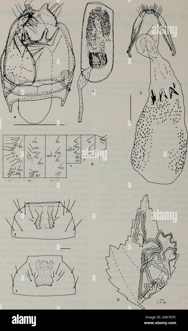 Tijdschrift voor entomologie . resent or absent.Apophyses relatively ...