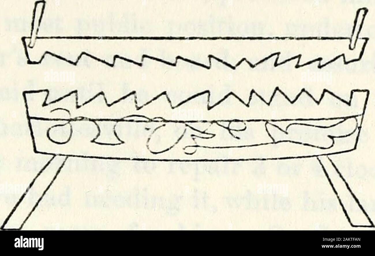 Arkwright family hi-res stock photography and images - Alamy