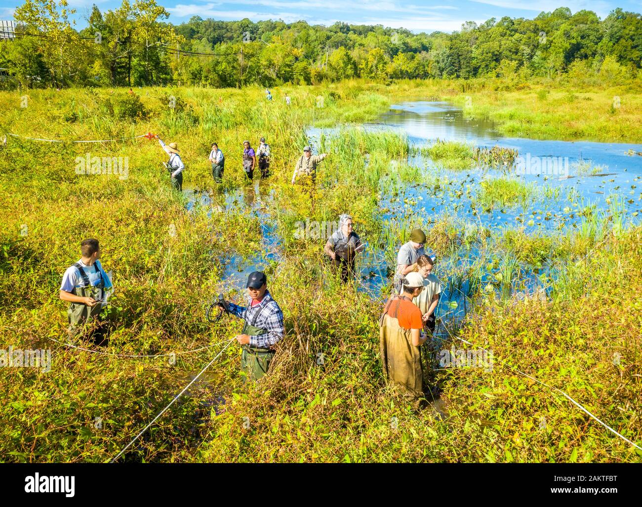 Students wade through the marshy wetlands of Patuxent Wetlands Park in ...