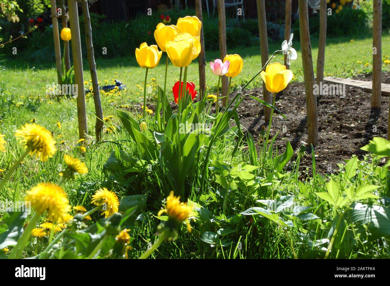 Garden plot hi-res stock photography and images - Alamy