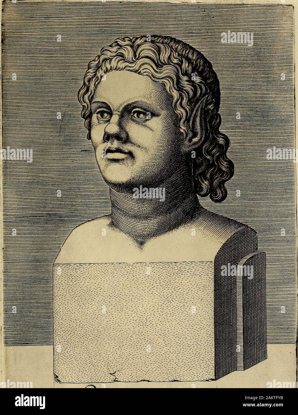 Viror hi-res stock photography and images - Alamy