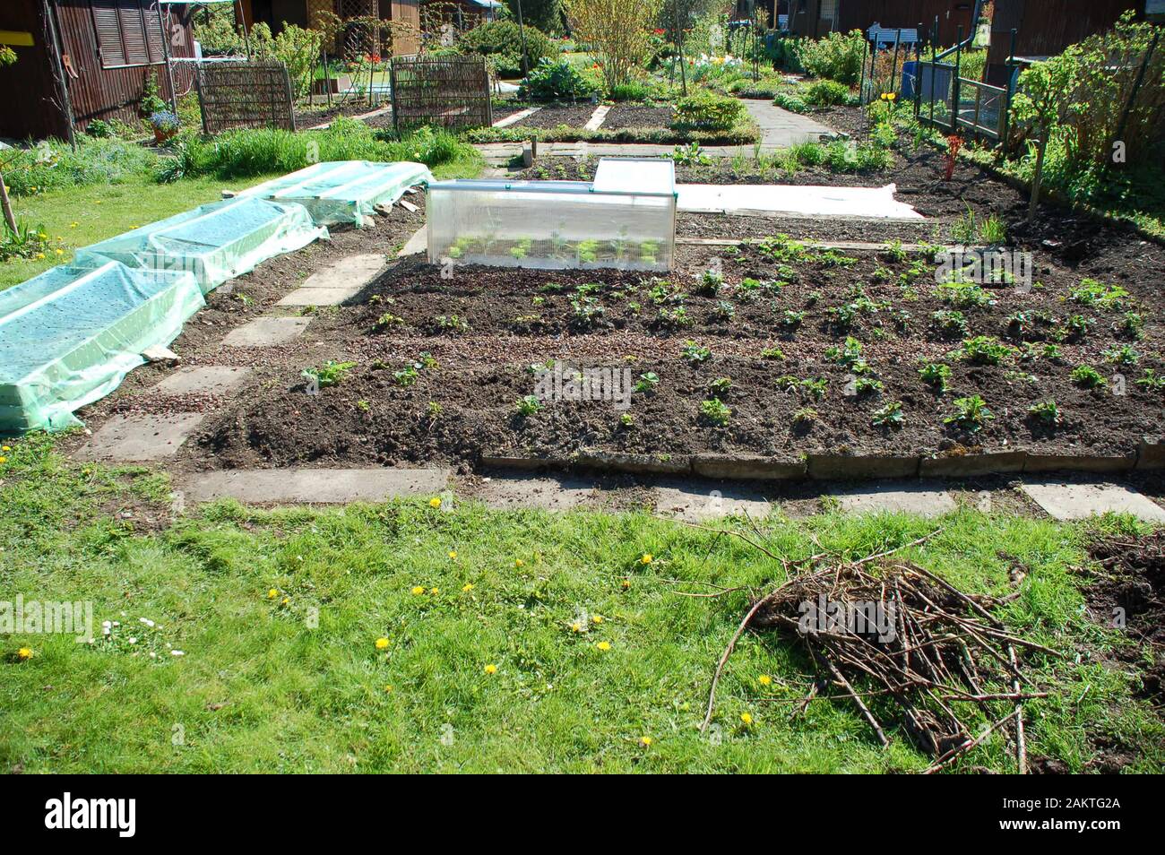 Box plot hi-res stock photography and images - Alamy