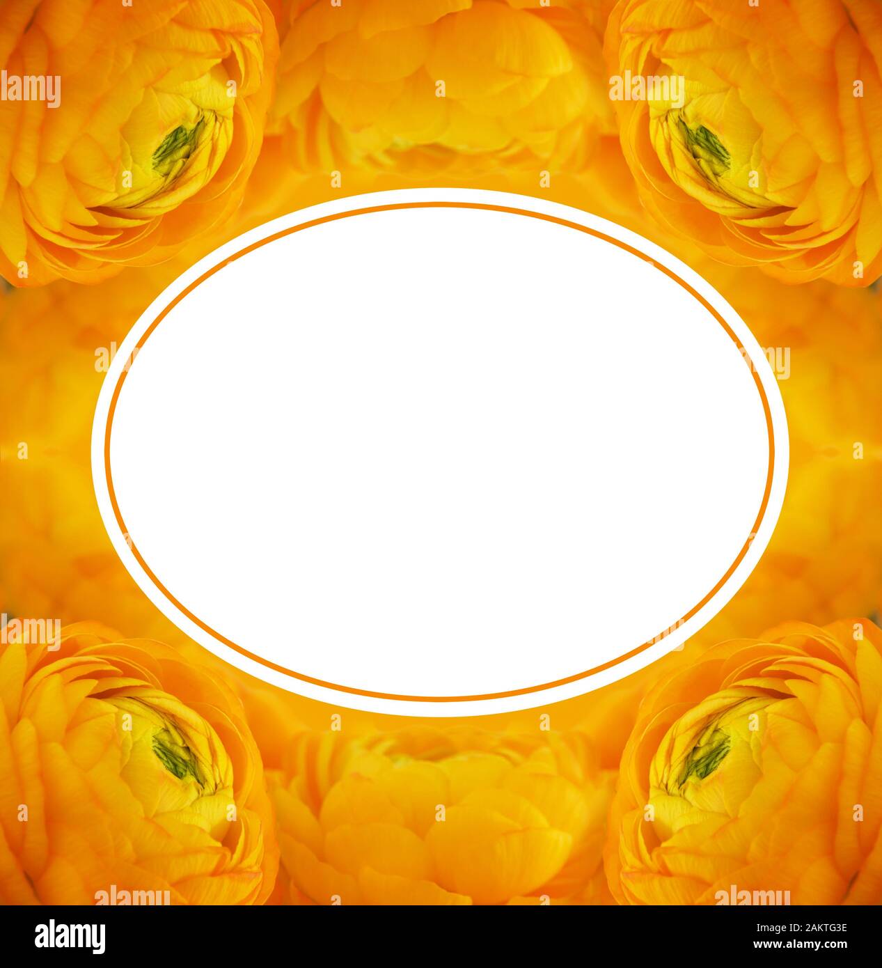 Orange ellipse hi-res stock photography and images - Alamy