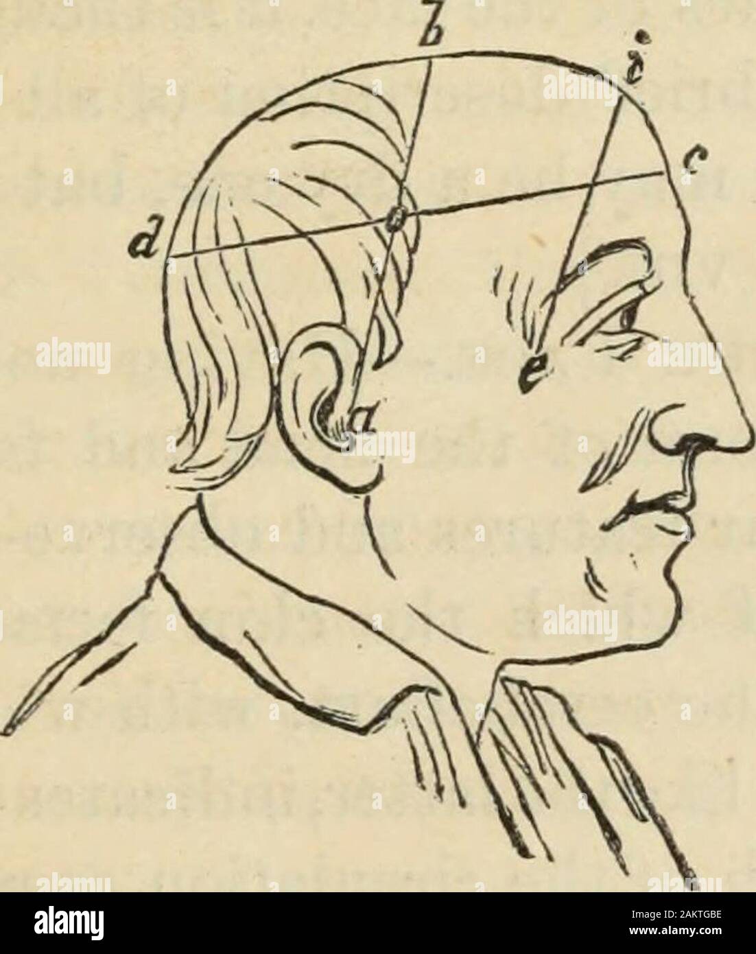 Cautious Face Drawing New Physiognomy : Or Signs Of Character, As