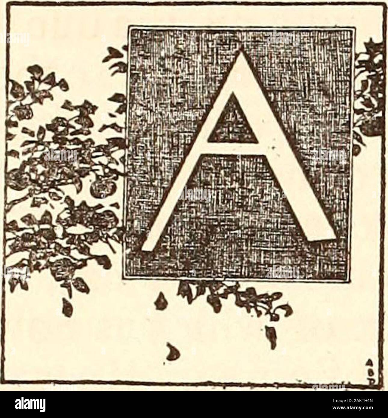 Truxton medal hi-res stock photography and images - Alamy