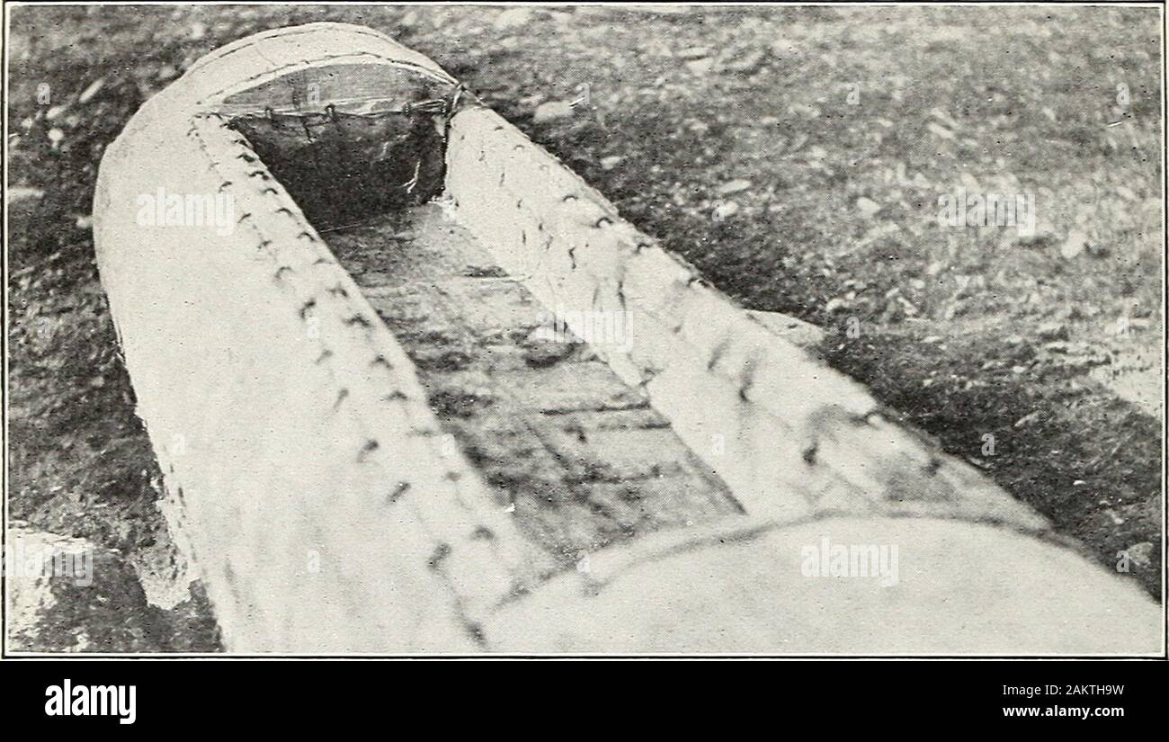 Range management on the national forests . Fig. 2.—Control of cattle by ...